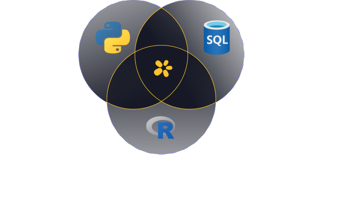 Powerful R Integration: Seamless Interoperability with Python and SQL